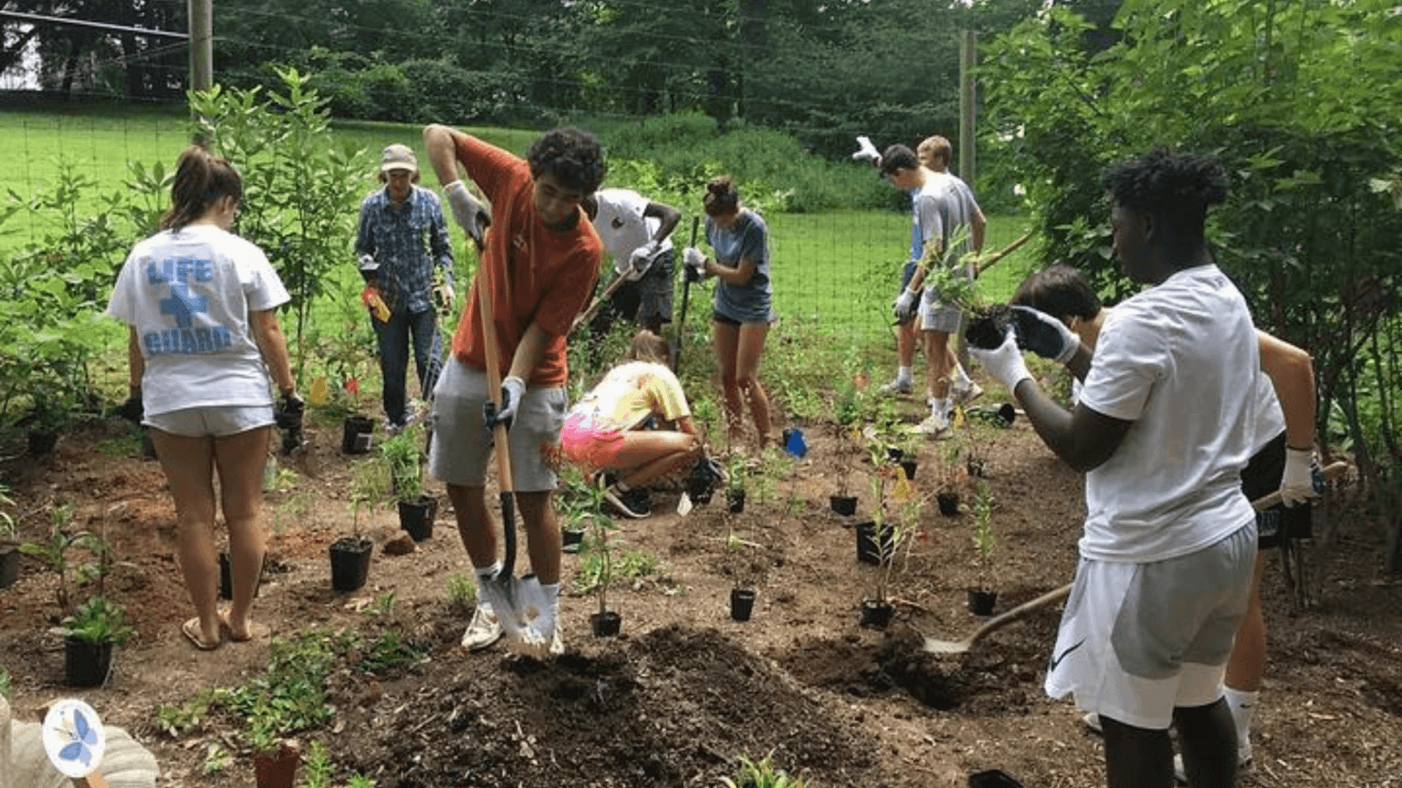 Earth Day Optimism - PerfectEarth