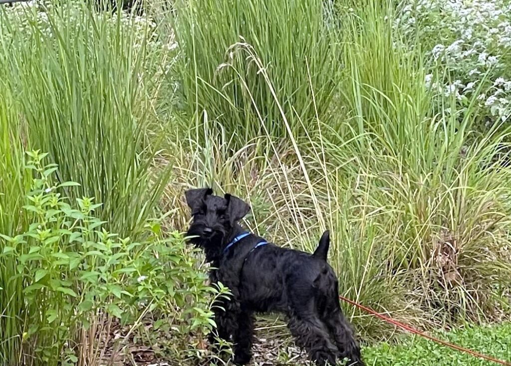 PRFCT Transformations: Bridget's Story - PerfectEarth