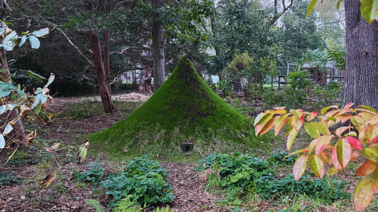 PRFCT Moment: Hibernaculum - PerfectEarth