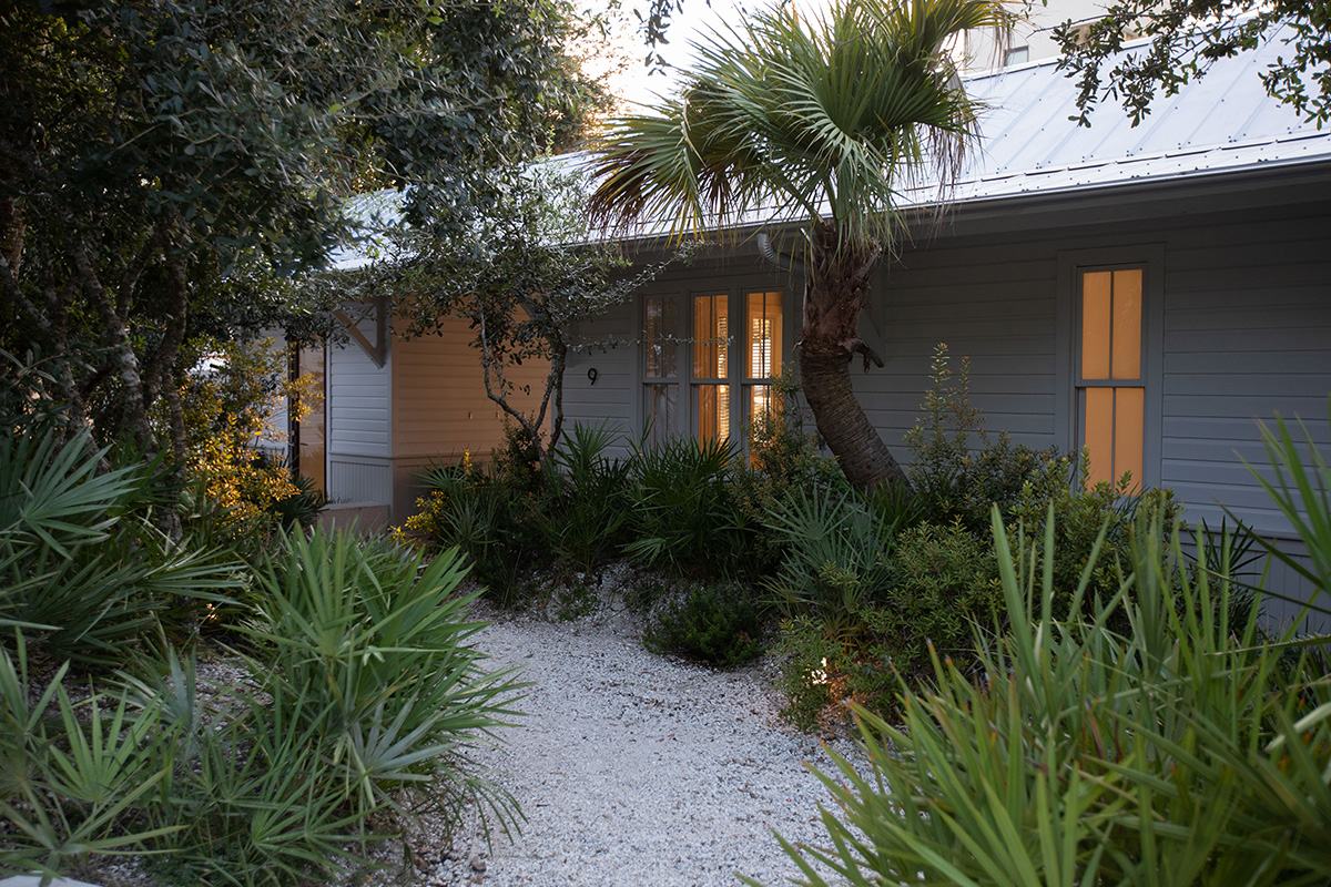 Ask the Experts: The Native Plant Combinations the Pros Love - PerfectEarth