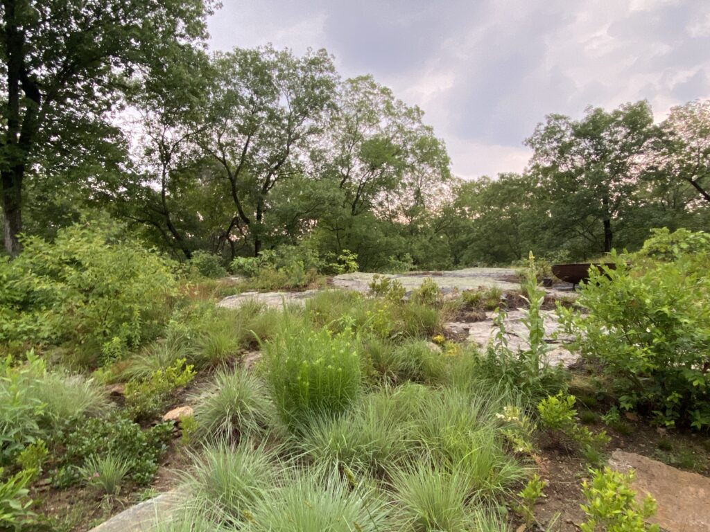 PRFCT Ground Rules with Lindsey Taylor - PerfectEarth