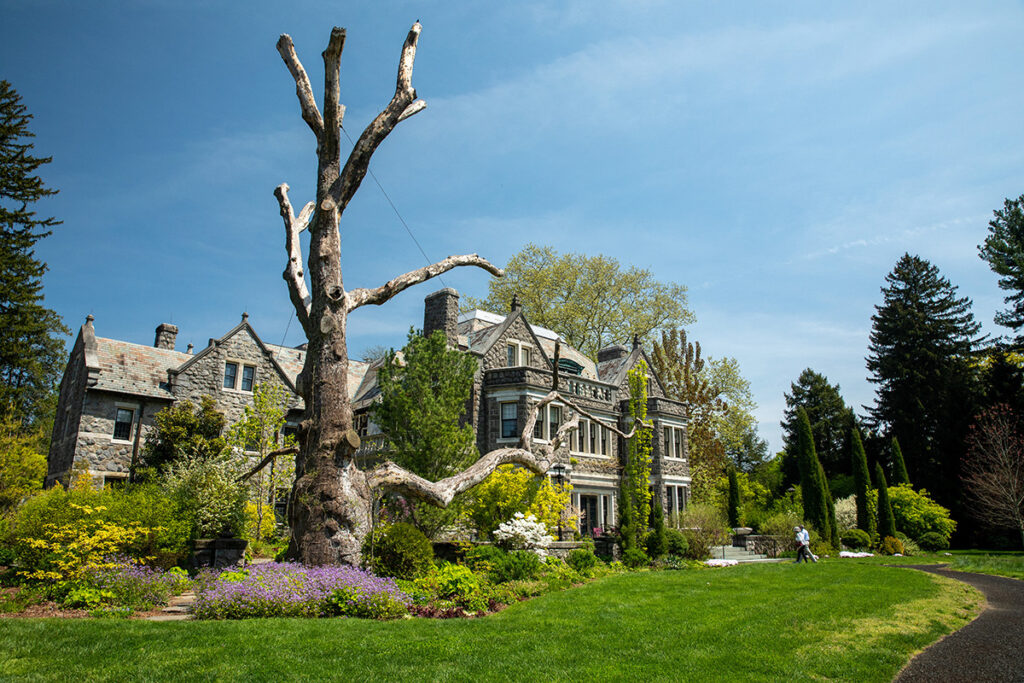 A Tree Sculpture at Stoneleigh - PerfectEarth
